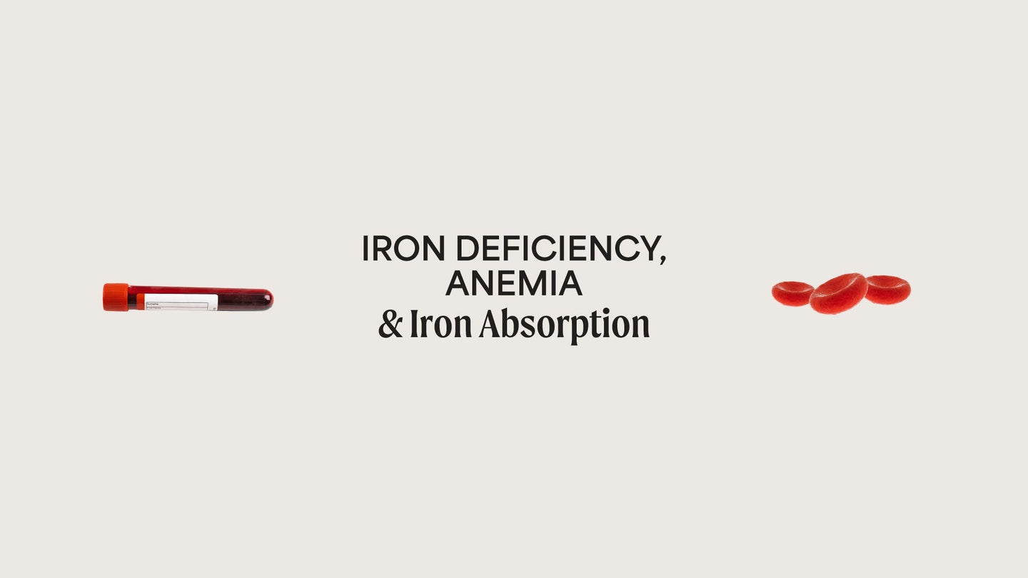 Iron Deficiency and Anemia: What Your Body is Telling You – Intentional
